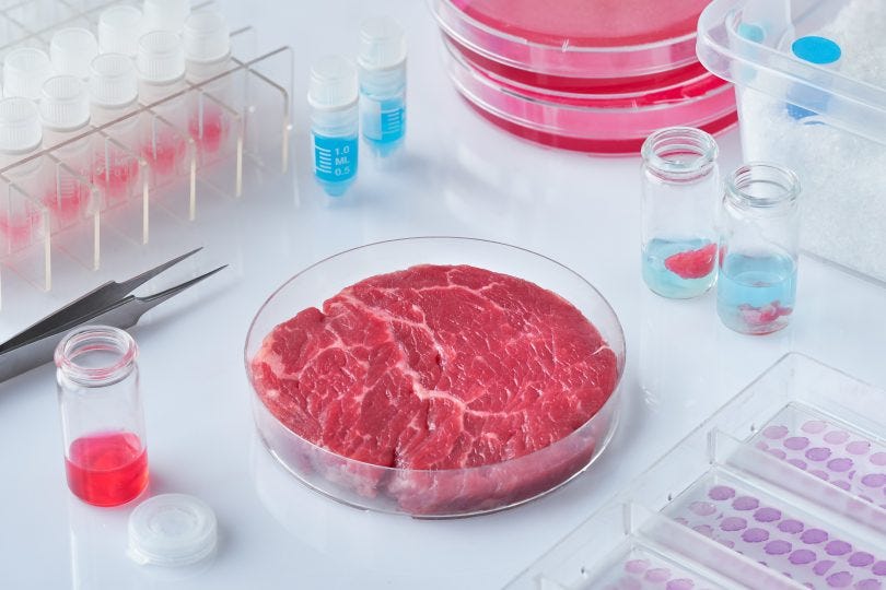 Cellular Agriculture and the Future of Lab Grown Meat | by Milo Dwight ...