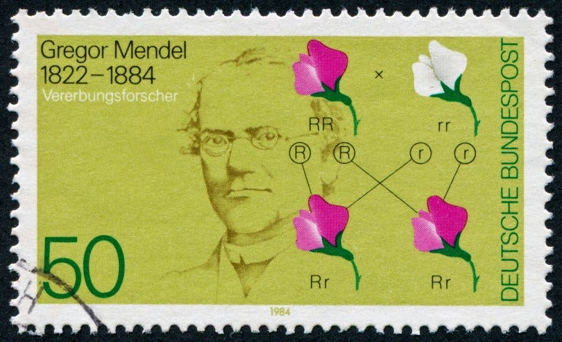 How Gregor Mendel Secretly Founded Genetics — Hidden Gene | by Hidden Gene | Medium