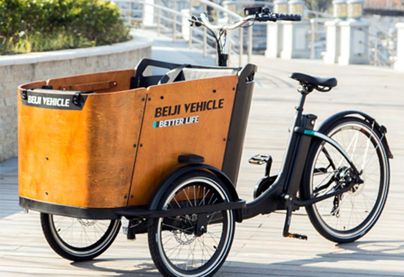About Freight Bikes. Freight bikes combine all the fun… | by Peter Caop ...