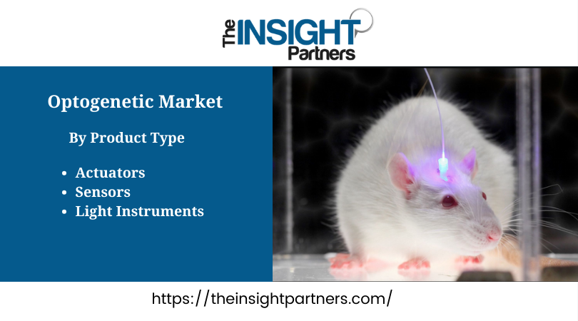 Optogenetic Market Size and Forecasts 2031 | Medium