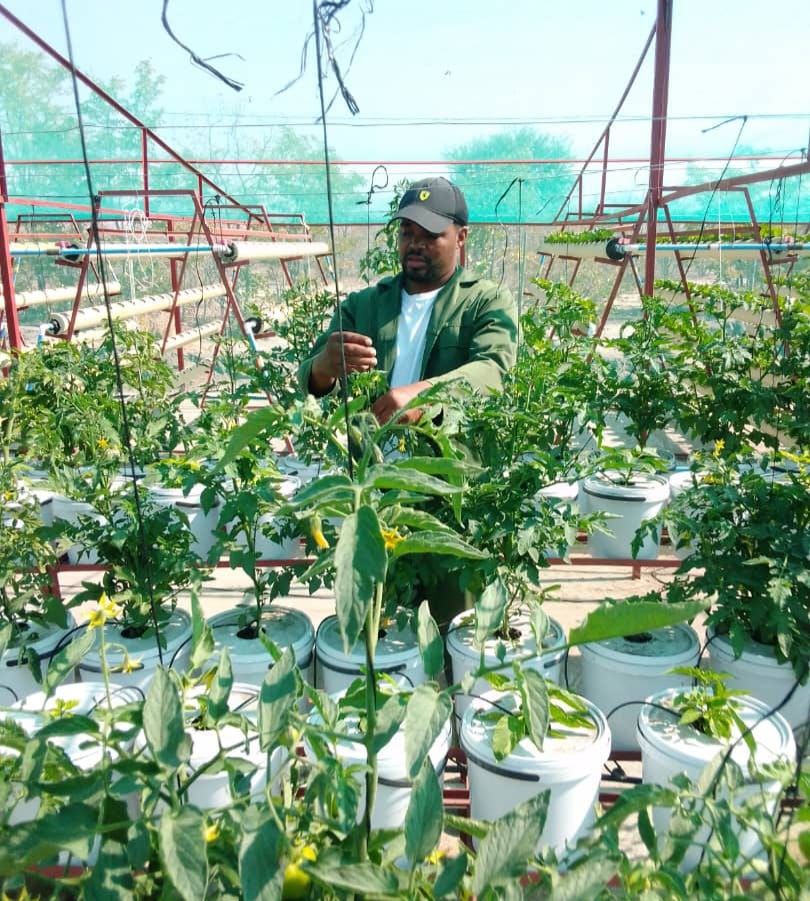 Why Botswana Should Prioritize Climate Adaptation | by Botswana Climate ...