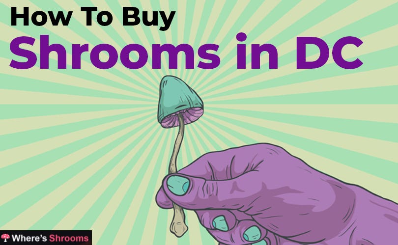 Understanding Shrooms in Washington, D.C.: A Growing Movement Towards ...