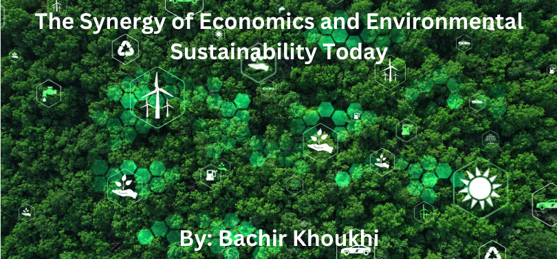 The Synergy of Economics and Environmental Sustainability Today | by ...