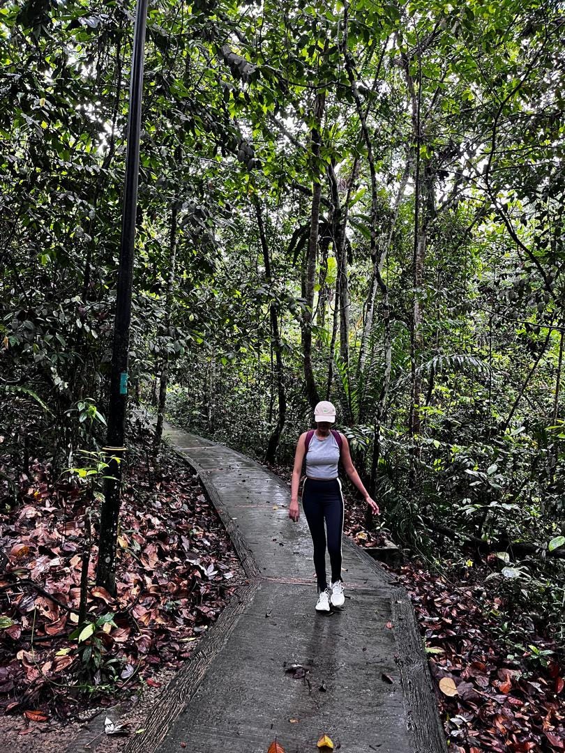 The Morning Trail | by githvi wickrama | May, 2024 | Medium