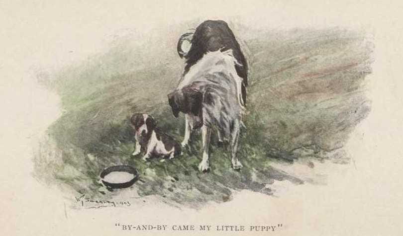 A Dog’s Tale, by Mark Twain. Short story courtesy of the Public… | by ...
