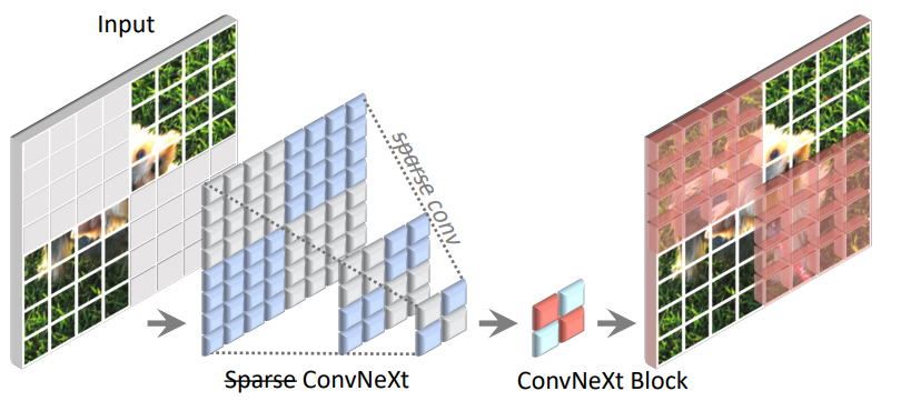 Review — ConvNeXt V2: Co-designing and Scaling ConvNets with Masked Autoencoders | by Sik-Ho ...