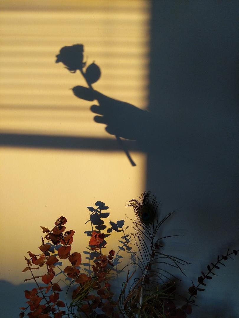 From Misery to Magic: How I Made Life Meaningful | by Abigail M | Medium