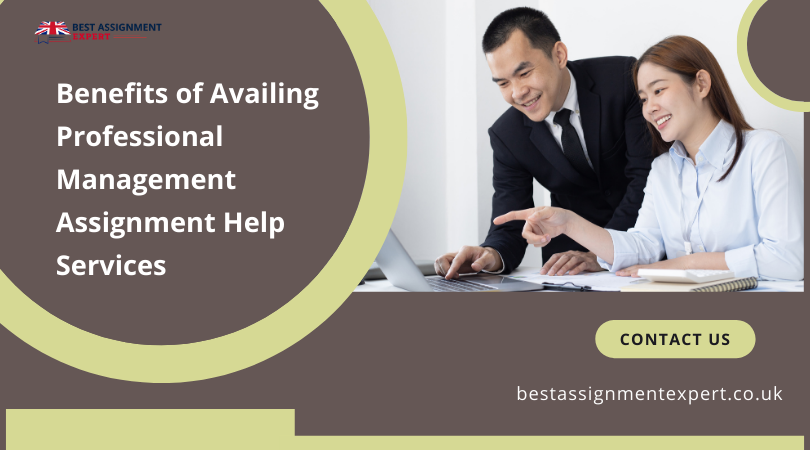 Benefits of Availing Professional Management Assignment Help Services ...