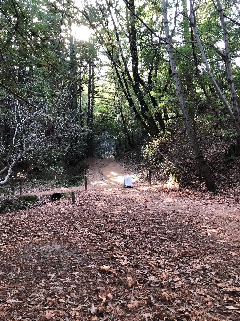 There’s nothing like California trail running. The last time we went ...