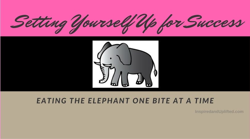 Setting Yourself Up for Success — Eating the Elephant One Bite at a ...