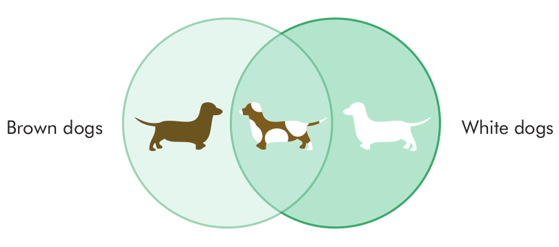 Brown Dogs and Barbers. How a crisis in mathematics led to set… | by ...