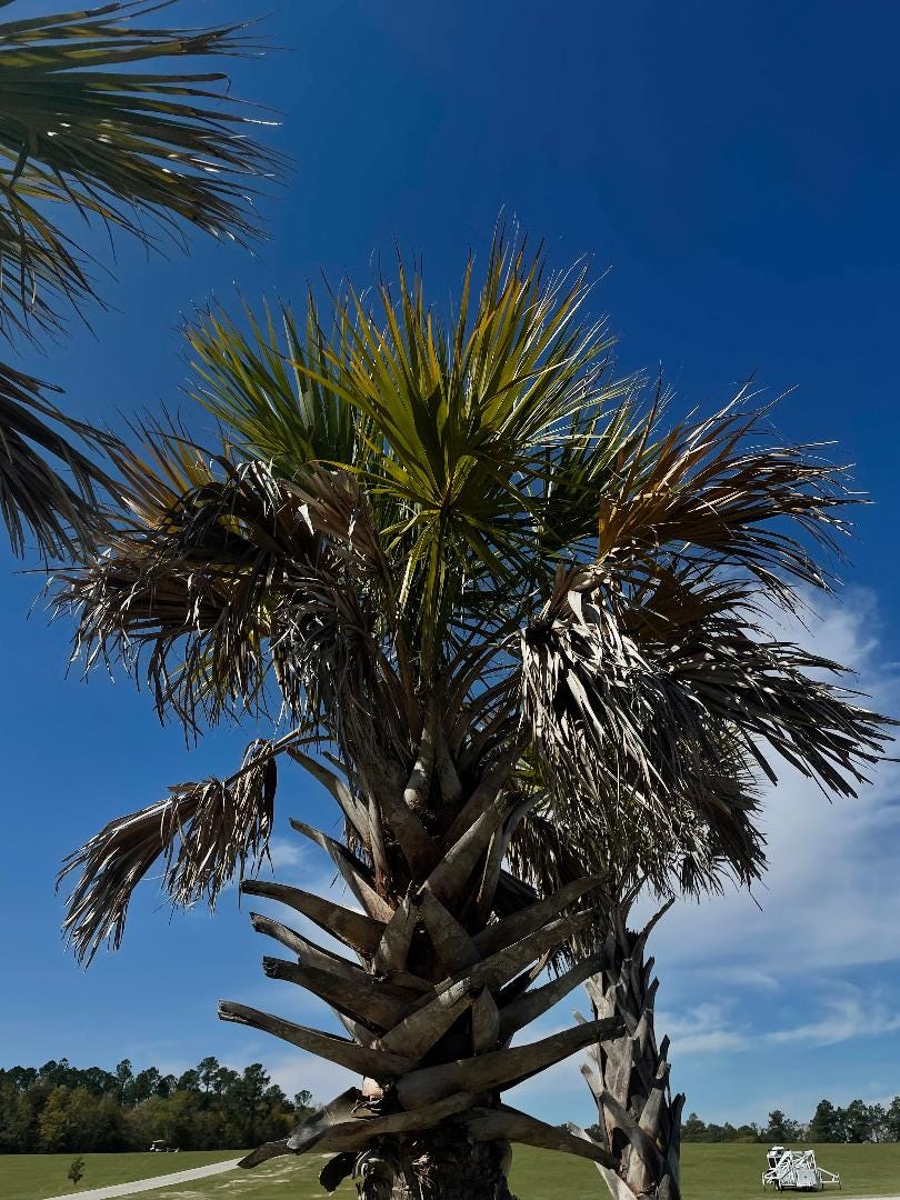 Broken (Part two). A Lovetale | by kehinde lawson | Medium