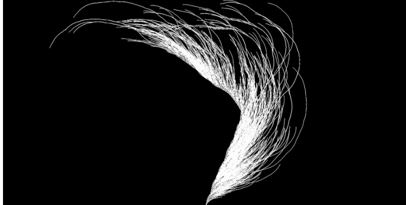 Collatz Conjecture. One Of The hardest Math Problems That A… | by ...