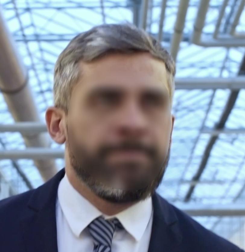 Blur Faces in real time with Opencv, Mediapipe and Python | by Shubham ...