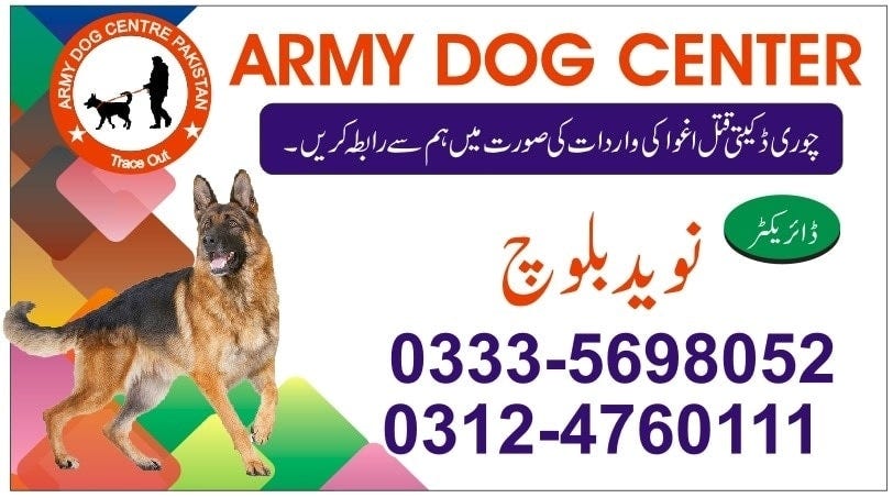 Army Dog Center Peshawar 03335698052 - Armydogcentreokara 03454760111 ...