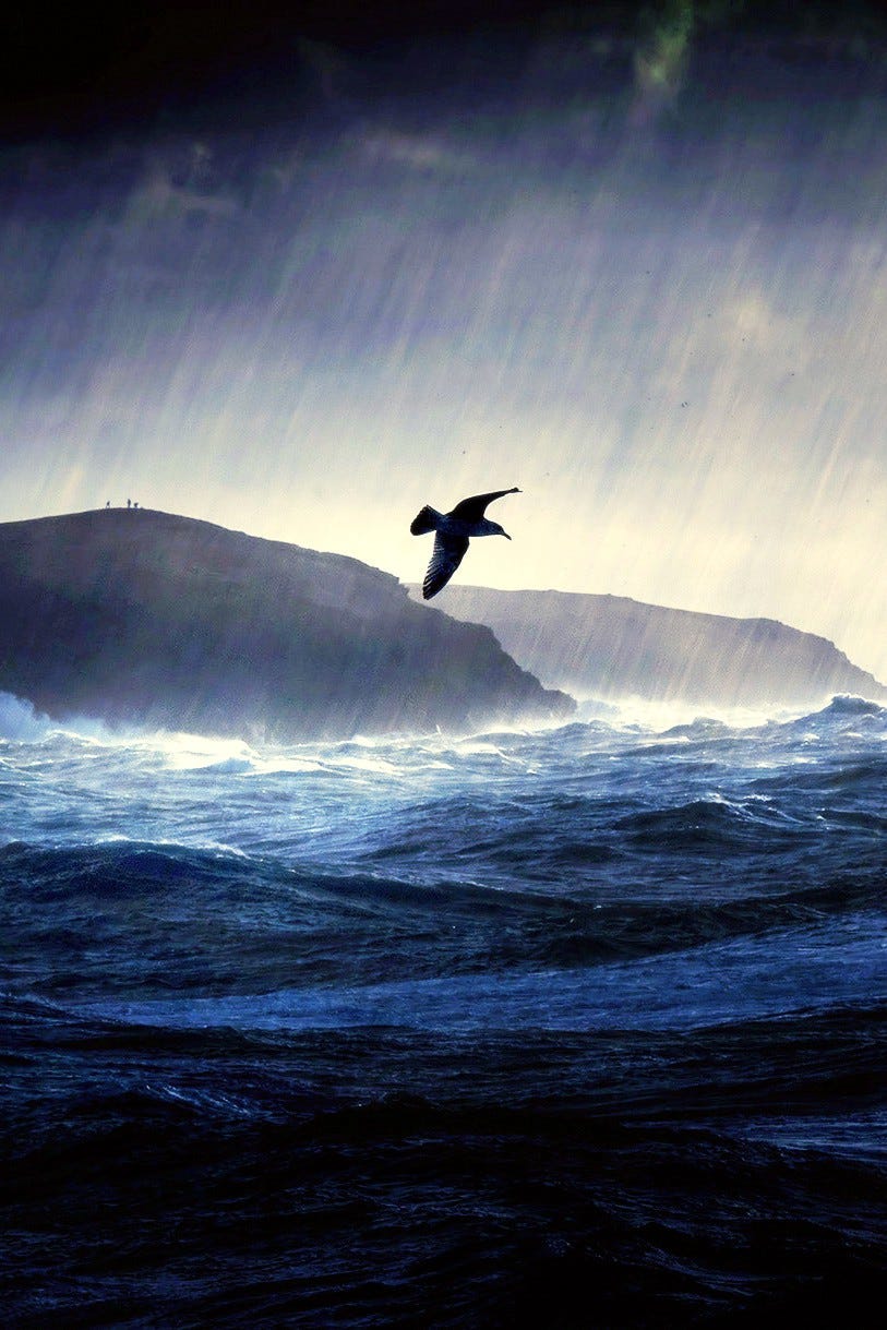 Requirements for Initiation in Sant Mat (Surat Shabd Yoga: The Inner ...