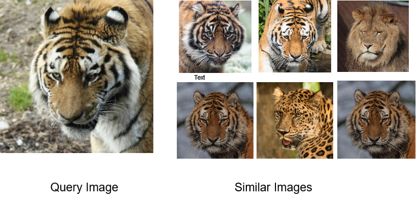 Image Similarity Search in PyTorch | by Aditya Oke | PyTorch | Medium