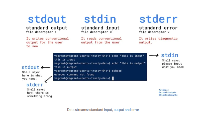 Guide to code a simple shell in C | by azza guesmi | Medium