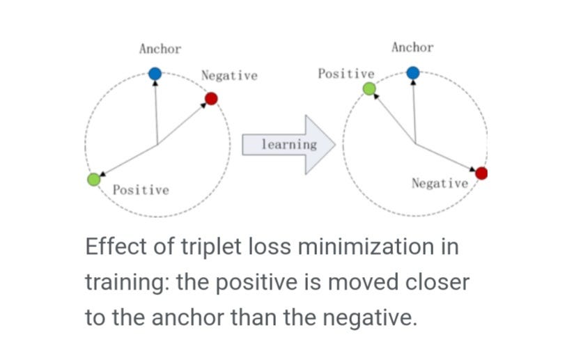 Triplet Loss in Tensorflow Similarity | by Ridadogrul | AI Mind