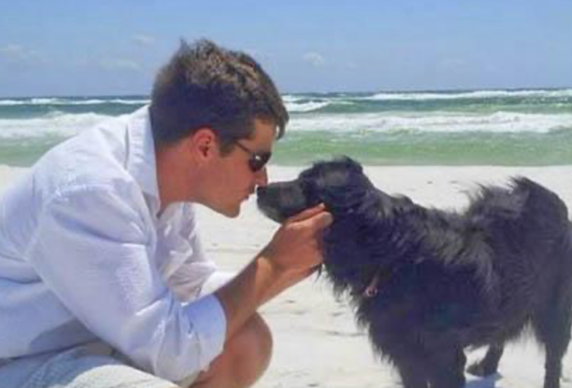 Matt Gaetz’s Dog Plans To Cooperate With Department of Justice | by ...
