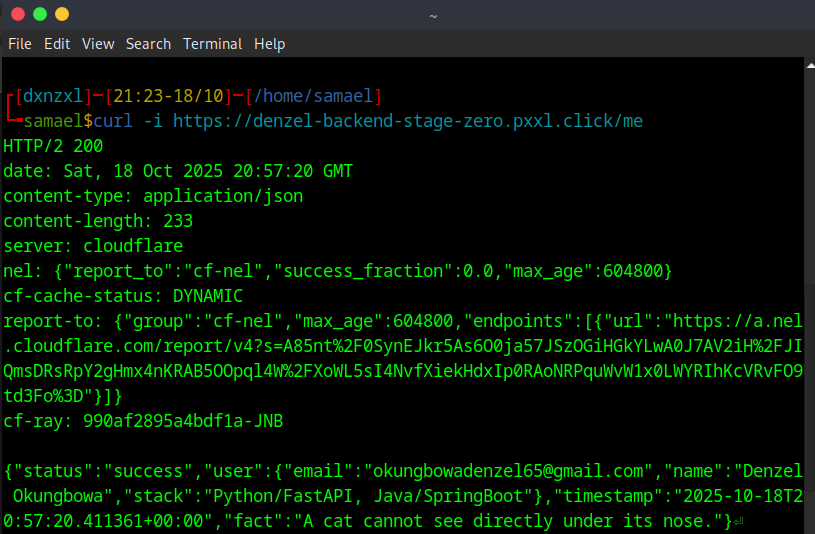 Building My Dynamic Profile API — HNG Tech Cohort 13 Journey | by Mydas | Medium