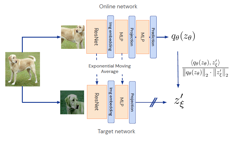 Review — BYOL Works Even Without Batch Statistics | by Sik-Ho Tsang ...