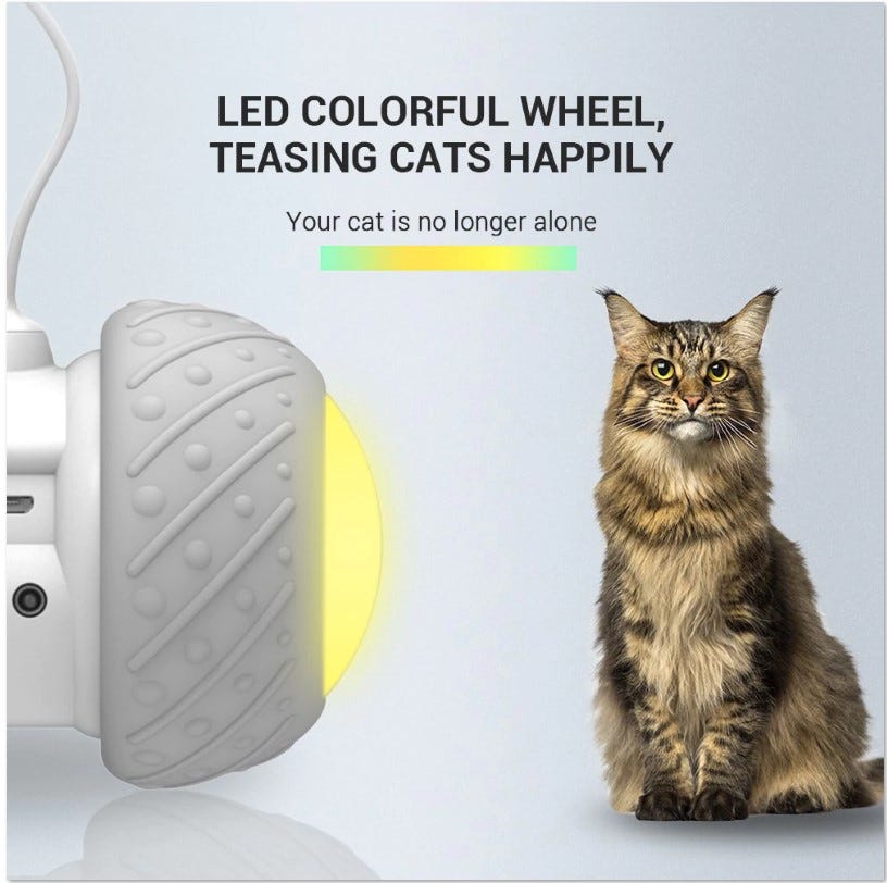 LED Interactive Cat Toy at The Purrfect Cat Shop - The Purrfect Cat ...