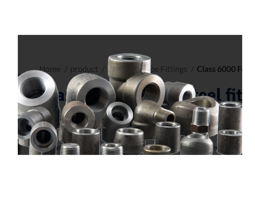 Class 6000 Forged Steel Fittings in UAE - Ezzyflosolution - Medium