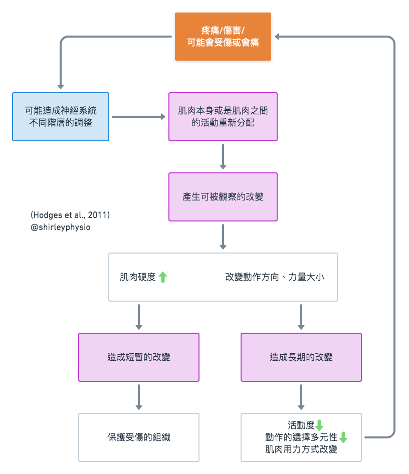 有一種痛叫我覺得痛 — 疼痛如何影響動作 - Shirley Physio 賴冠帆物理治療師 - Medium