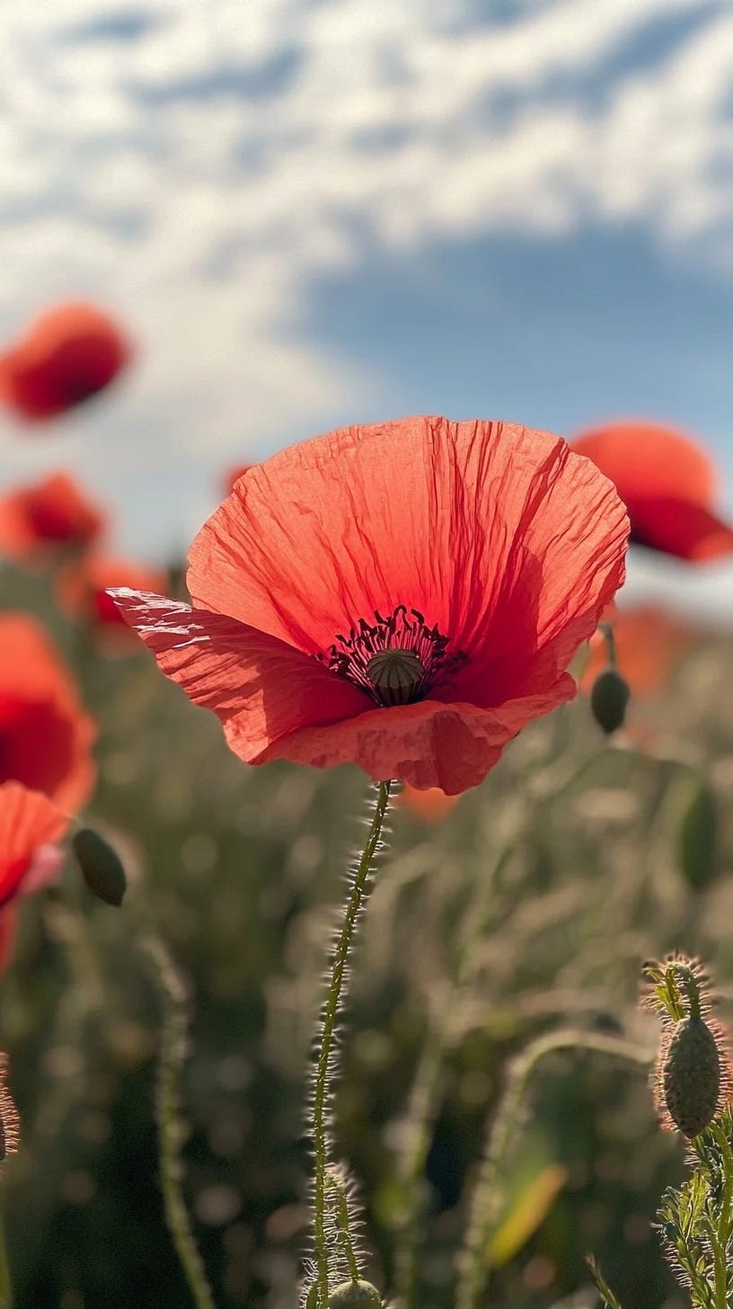 The Only Voice That Matters Now Is Your Own | by Sine's Inner Voice ...