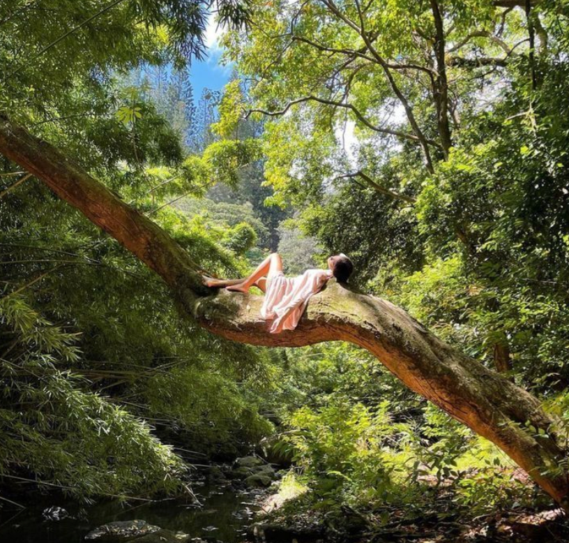 Create and Live for the Sake of it | Medium