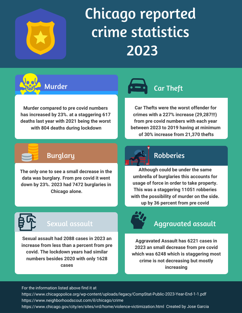 Law Enforcement Statistics Infographic
