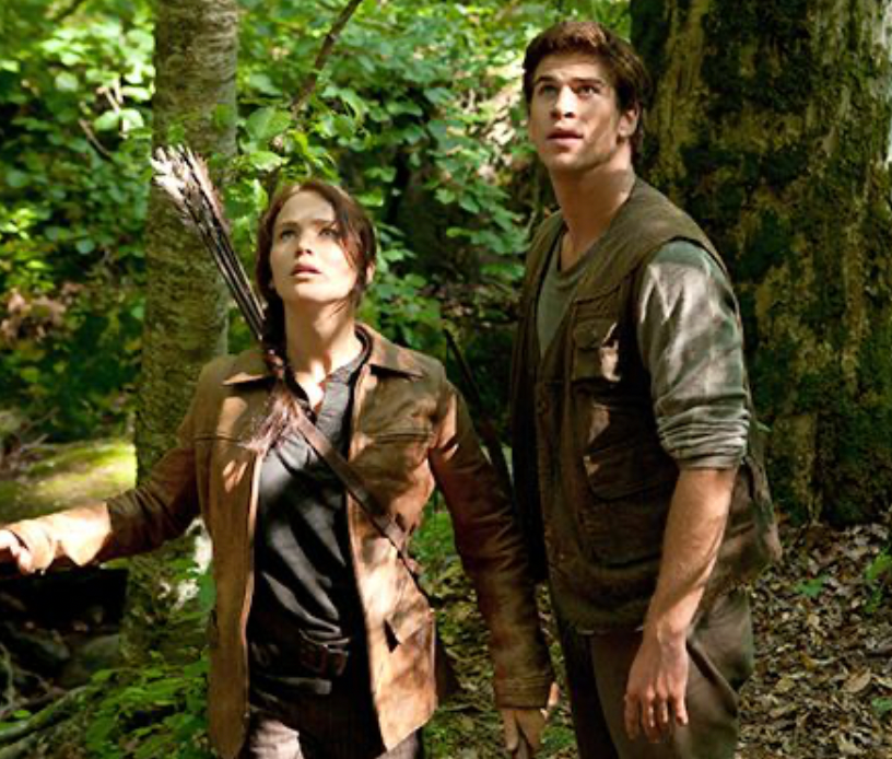 The POV in Hunger Games. Hunger Games by Suzanne Collins… | by Mina ...