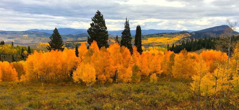 Aspen Colorado In Fall Colors