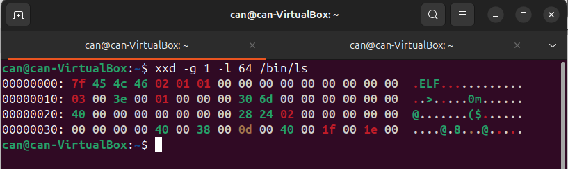 Learning ELF: The Foundation of Linux Binary Analysis | by Can Özkan | Jun, 2025 | Medium