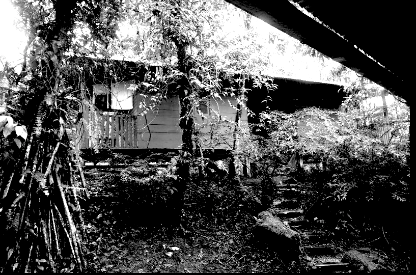 One Language in the Amazon. I woke this morning to an incredible… | by ...