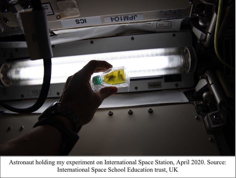 I sent my experiment to space — here’s what I learnt | by Navyasara ...