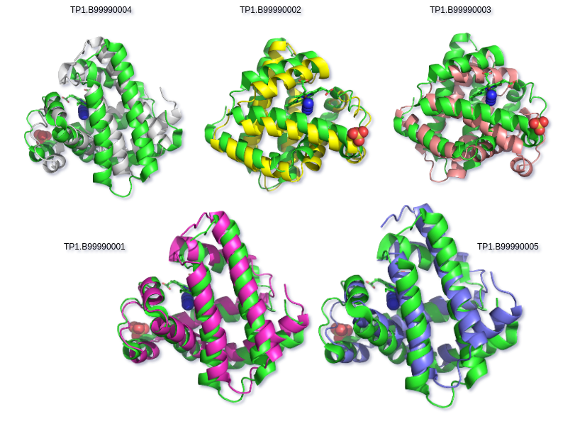 Protein Homology Modelling with PyMol and Modeller | by Radhika Sharma | Medium