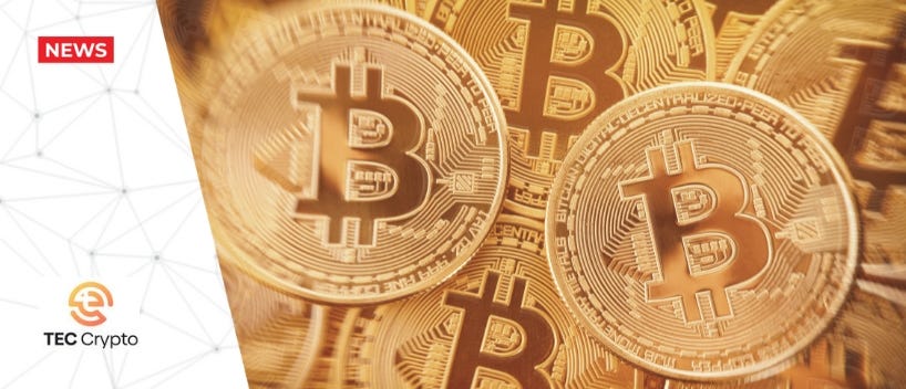 Earning Milestones: Celebrating TecCrypto’s Profitable And Innovative Journey In Cloud Mining ...