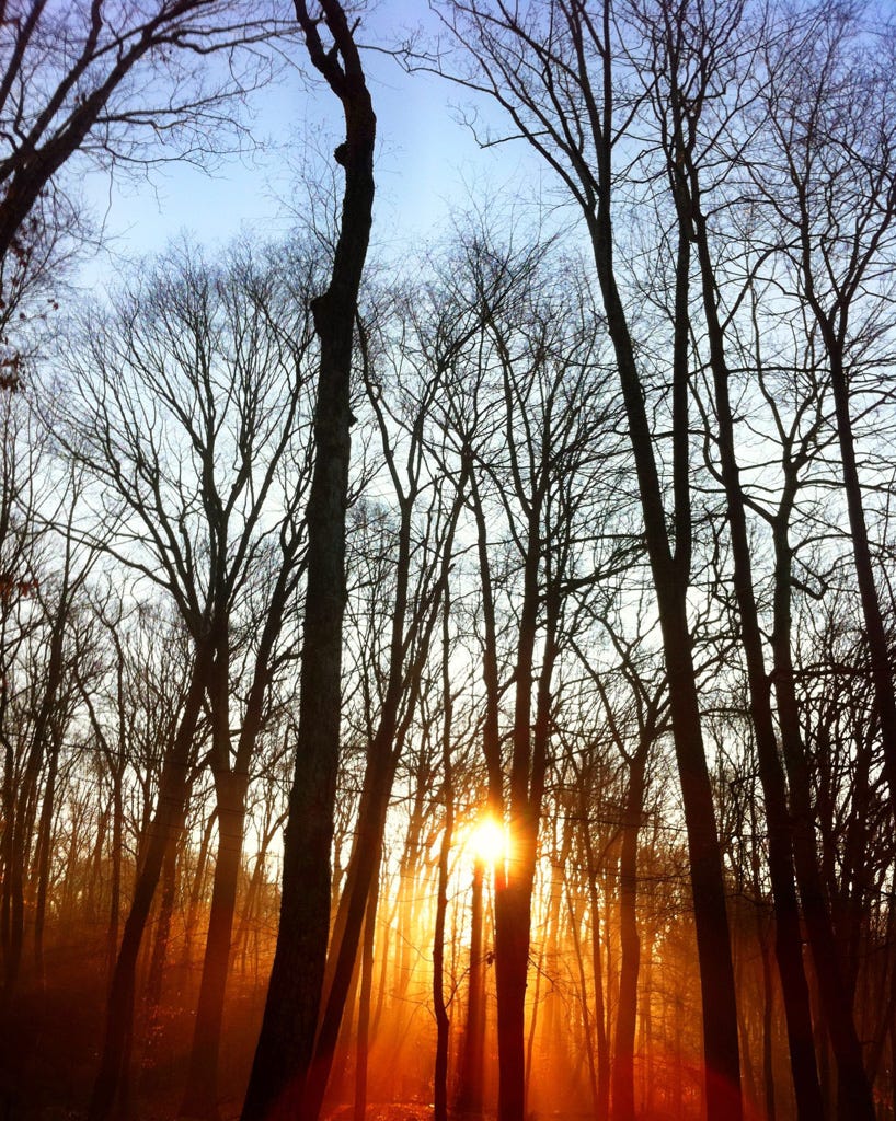 A Message From Above - Six Word Photo Story Challenge - Medium