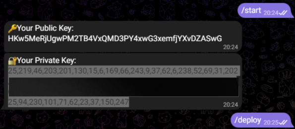 How to Import a Wallet Using a Private Key – PumpRadar