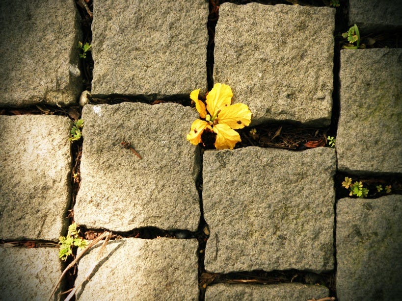 Stoned. The sun was asleep when i set for the… | by Arvastry Quaint ...
