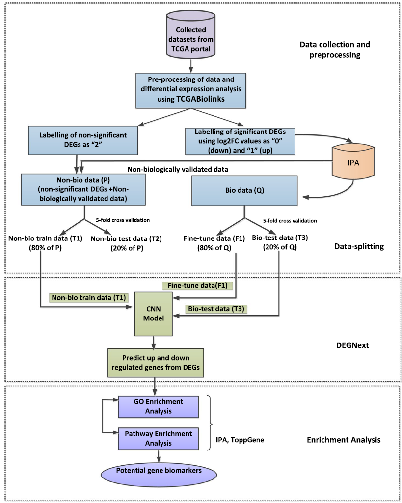 Degnext A Novel Approach To Classify Differentially Expressed Genes Using Convolutional Neural