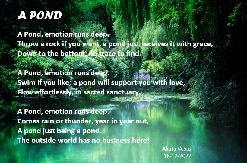 Conscious Cafe’ — A Pond - Akata Vesta - Medium