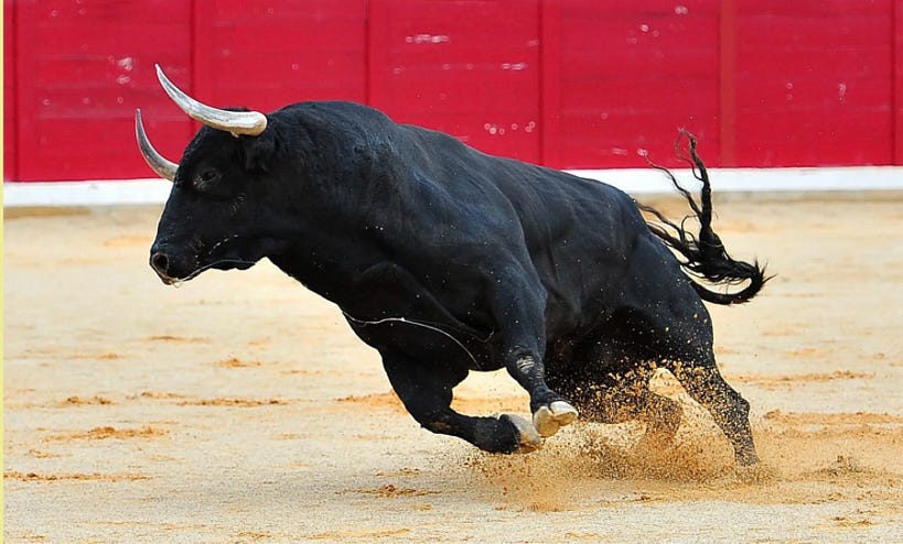 7 Taureans That Every Taurus Can Relate To: | by Michele Simmons | May ...