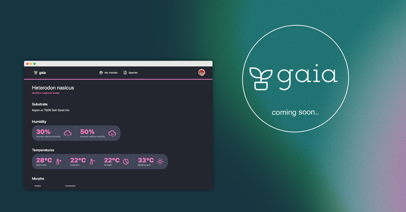 gaia: My approach to pet management | by Alex | Aug, 2023 | Medium