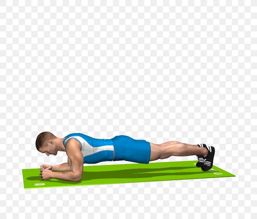 what-if-you-bdo-plank-for-1-minute-daily-by-adiapocketfullofshine