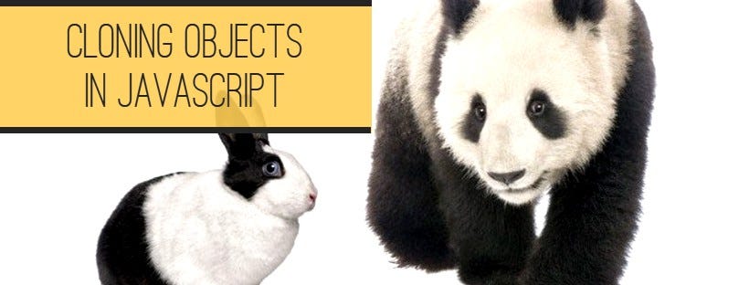 Cloning Objects In Javascript This Article Was Originally Posted On 7886