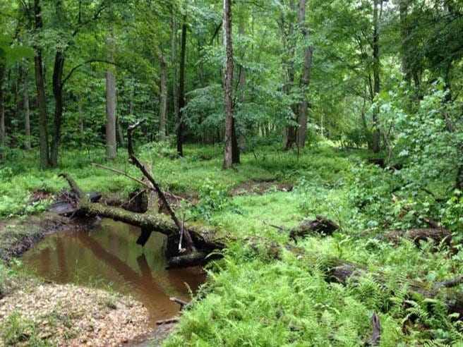 Southern Maryland Woodlands National Wildlife Refuge would protect ...