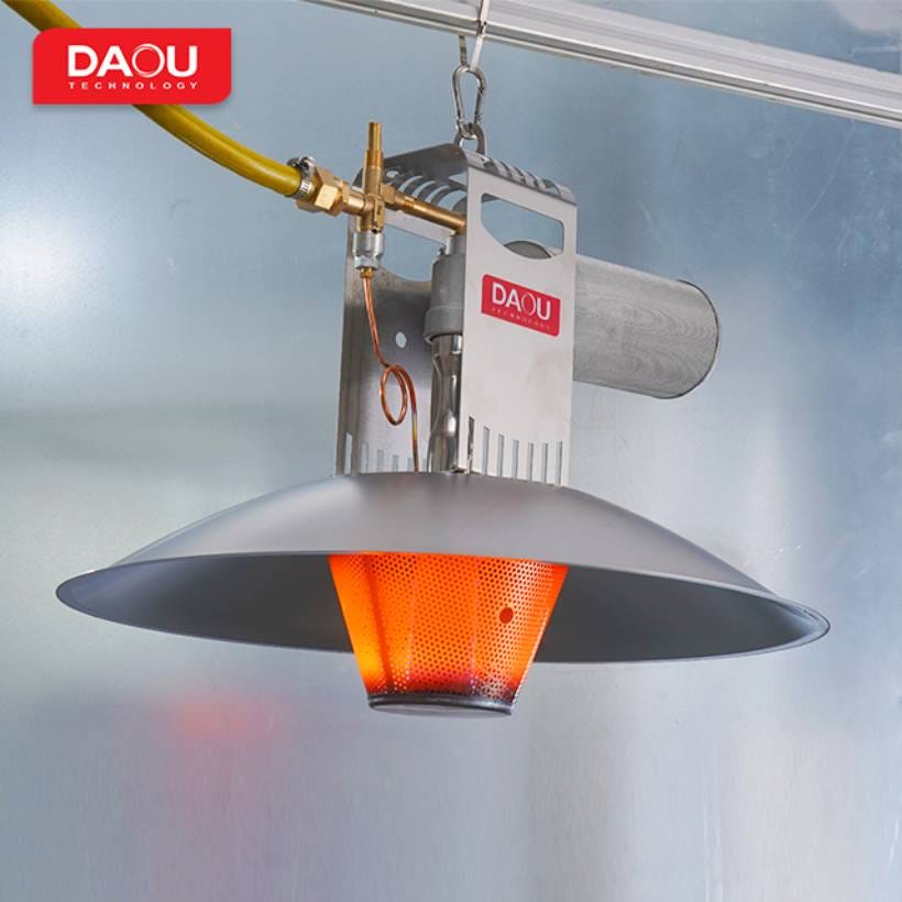 DAOU poultry farm gas heater - Summer Wu - Medium